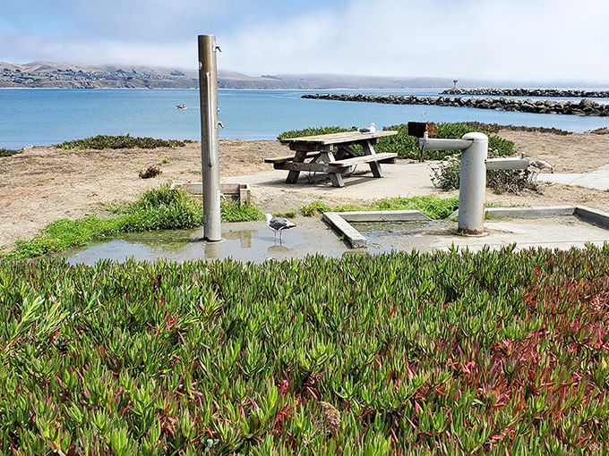 Doran Regional Park's perfect picnic spots &ndash; where one table with a view can turn a simple sandwich into a dining experience worth writing home about.