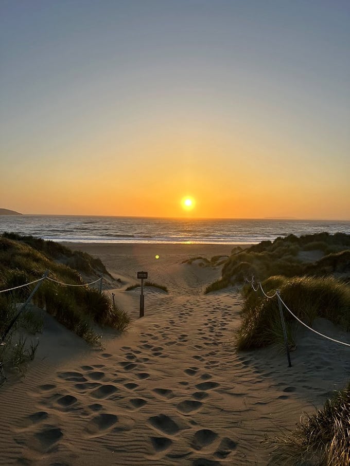 The golden pathway to serenity. Follow these footprints into a sunset that makes you question why you ever waste time indoors.