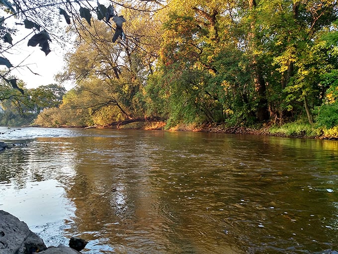 The Sheboygan River winds through autumn foliage, creating the kind of scene that makes you slow down and appreciate nature's artistry.
