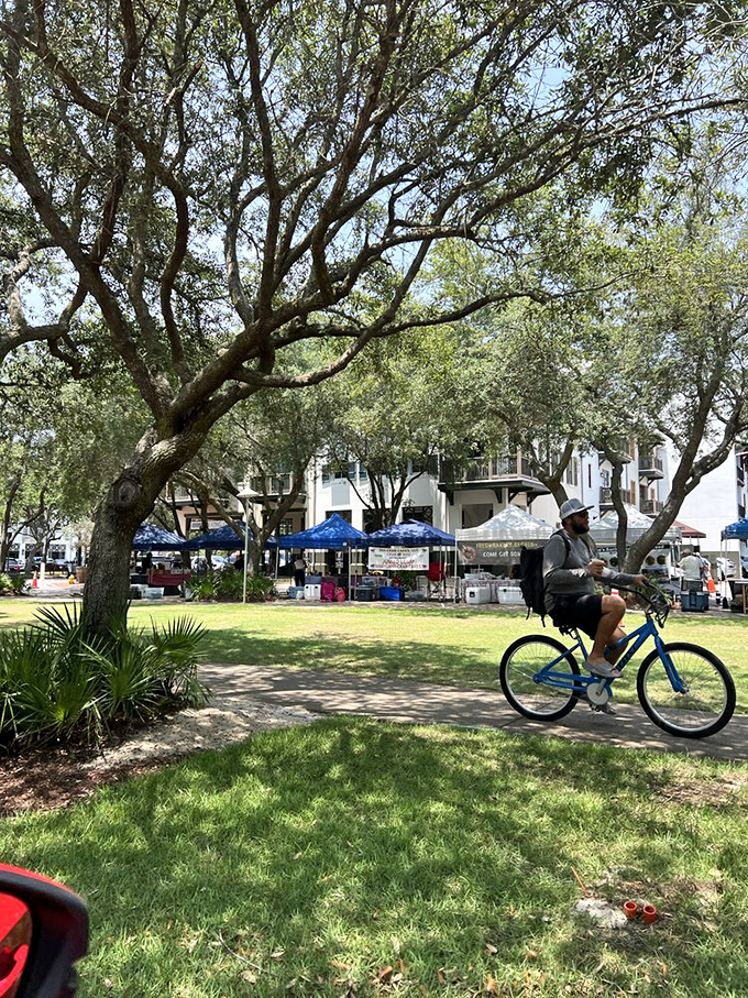Sunday morning rituals include cruising the farmers market by bicycle, where shade trees create the perfect canopy for browsing local treasures.
