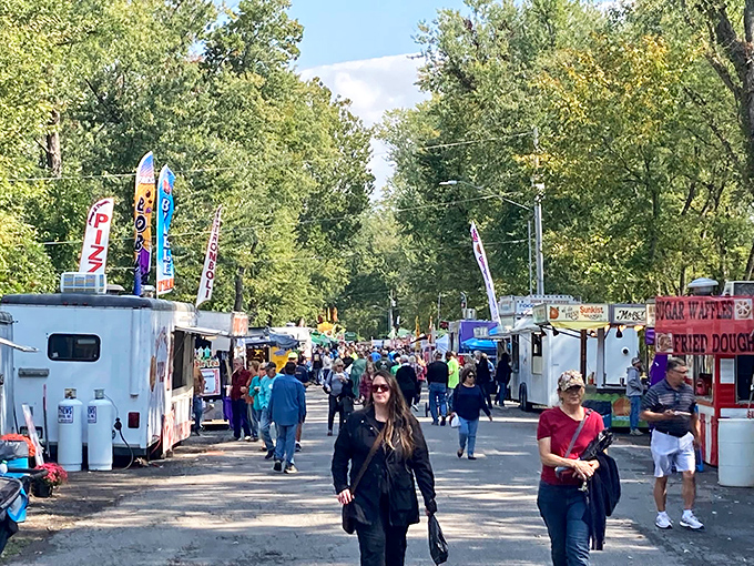 Festival season transforms ordinary streets into extraordinary gatherings, where the smell of funnel cake becomes the unofficial perfume of happiness.