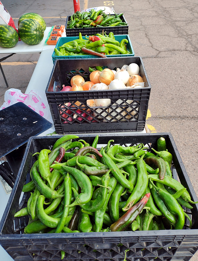 Garden-fresh chiles and onions bring the heat and flavor of the Southwest to your kitchen. Farm-to-swap-meet freshness at its finest.