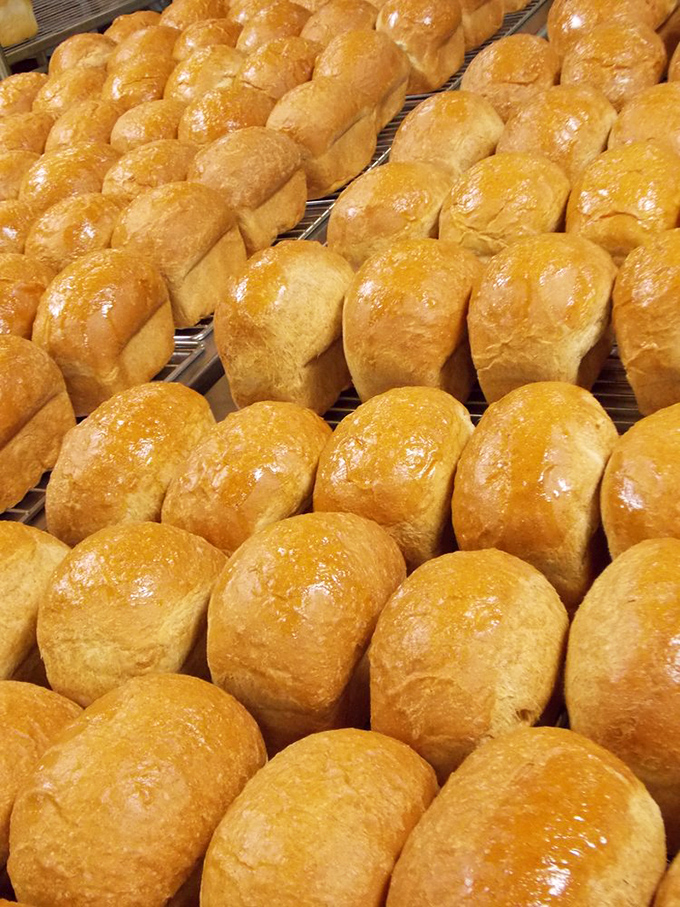 These rolls aren't just baked; they're engineered for maximum comfort. Golden-brown perfection lined up like delicious little soldiers.