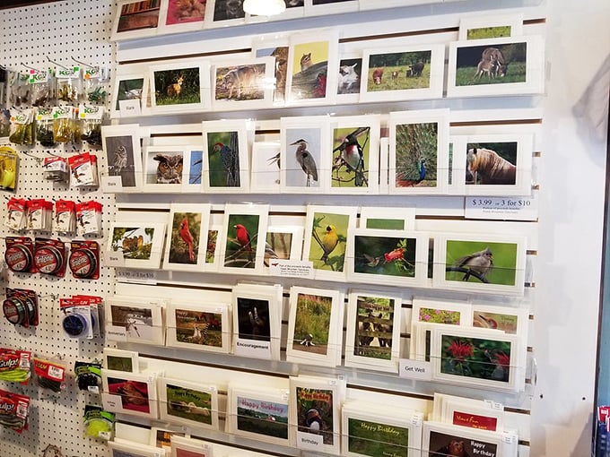 These aren't just greeting cards&mdash;they're snapshots of local wildlife, captured by photographers who understand that Pennsylvania's beauty deserves to be shared.