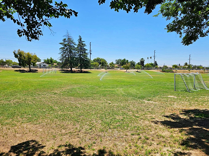 Soccer goals and sprinklers&mdash;Harvard Park offers simple pleasures and green space for kids to burn energy without burning wallets.