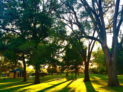 The Charming Town In Illinois That's So Gorgeous, It Feels Like A Dream