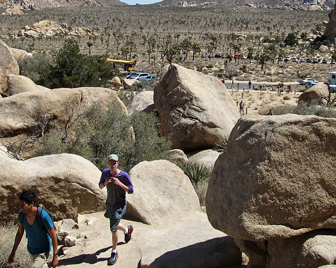 Hidden Valley's massive boulders create natural rooms and corridors, making hikers feel like they're exploring an ancient stone maze.