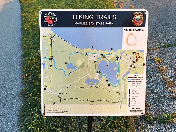 The trail map&mdash;where "You Are Here" is less a location and more an invitation to get wonderfully lost in Ohio's version of wilderness. 