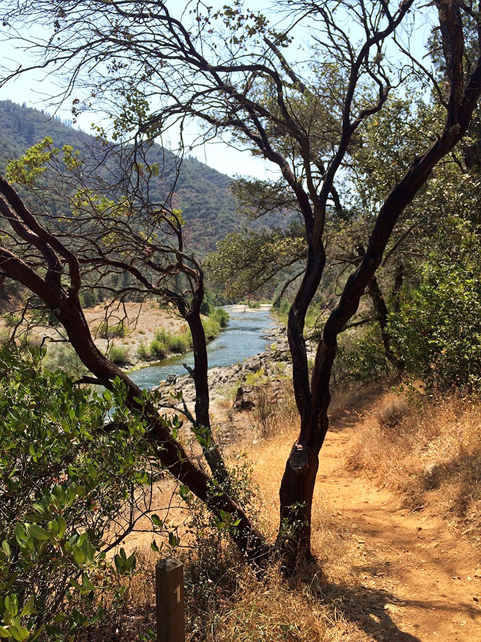 The trail whispers, "Slow down, city slicker." This path along the American River offers views worth every drop of perspiration.