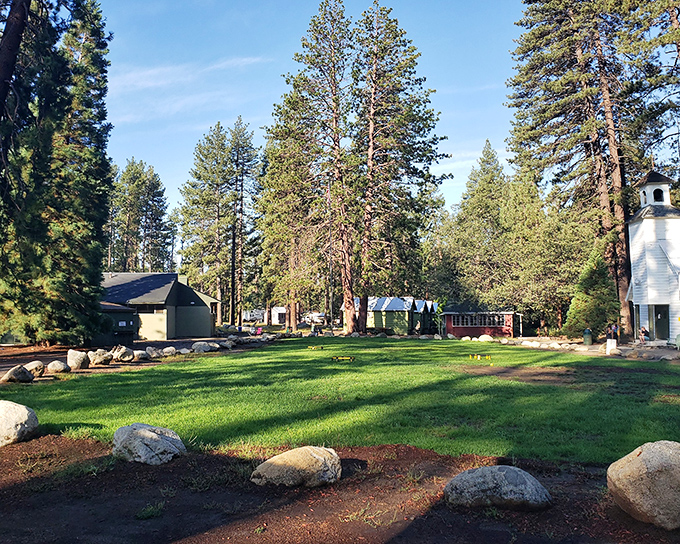 A grassy clearing surrounded by pines and historic buildings &ndash; where "campus" means something entirely more peaceful than your memories of college.