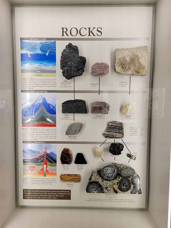 Science meets art in this educational display. Who knew geology could be this engaging? Suddenly those rocks in your garden seem full of untapped potential.