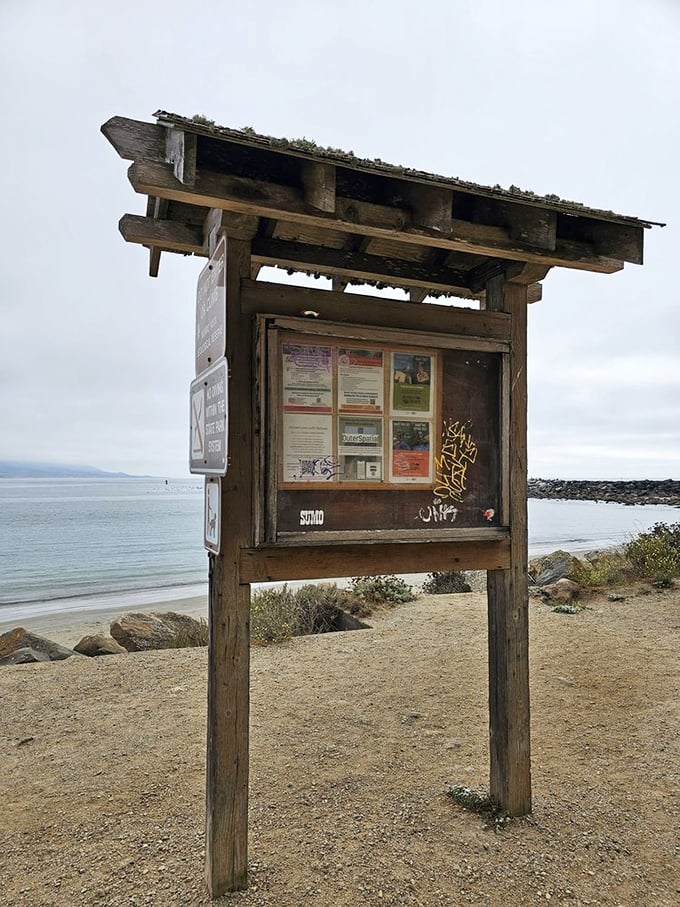 Weather-worn information kiosk stands sentinel over the shoreline. These humble wooden structures hold the secrets to discovering the park's hidden treasures.