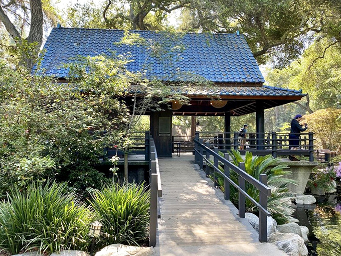 The Japanese teahouse with its distinctive blue roof offers a moment of zen. Somehow the air feels 20% more peaceful just looking at it.