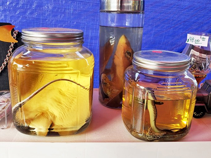 Preserved specimens floating in amber liquid&mdash;part science experiment, part conversation starter, all guaranteed to raise eyebrows at dinner parties. 