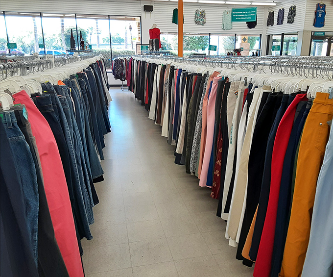 Pants paradise stretches as far as the eye can see. This denim rainbow offers every shade from beach-faded blue to night-on-the-town black.