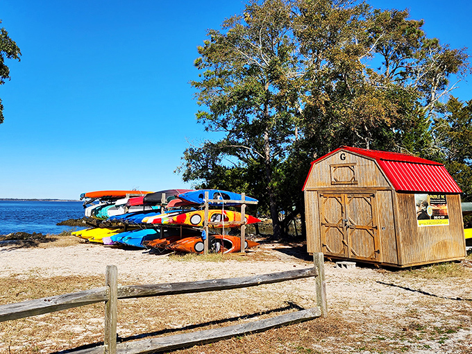 A rainbow of kayaks waiting for their next adventure &ndash; like a Crayola box that floats and occasionally makes you wet.