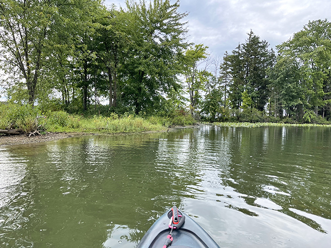 Kayaking at Pymatuning&mdash;where every paddle stroke takes you further from spreadsheets and closer to the person you were meant to be.