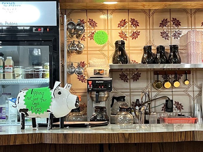 That pig-shaped tip jar says everything about Sulimay's personality: unpretentious, slightly quirky, and honest about what matters in the restaurant business.