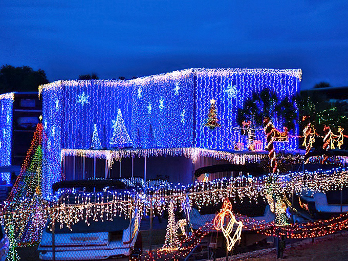 During Light Up Mount Dora, the town doesn't just twinkle&mdash;it practically challenges the night sky to a brightness competition. And wins.