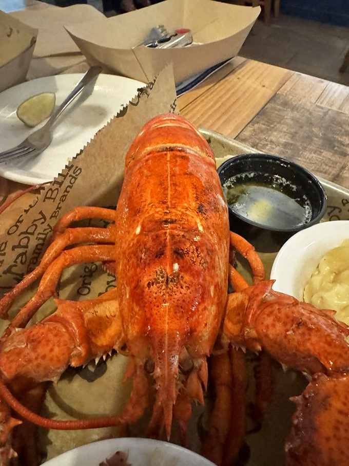 This lobster isn't just dinner&mdash;it's a crimson-shelled celebrity making its grand entrance on your plate. Butter and lemon standing by as loyal sidekicks.