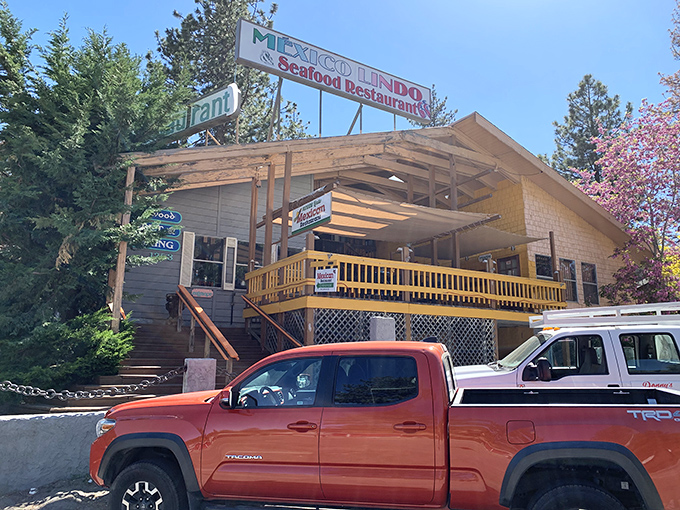Mexico Lindo brings unexpected culinary diversity to the mountains, proving great tacos know no elevation limits.