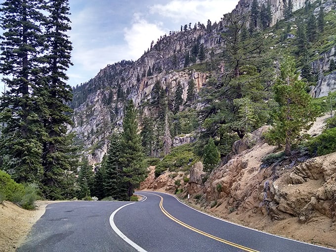 Mountain roads wind through scenery so stunning it makes your daily commute seem criminally boring.
