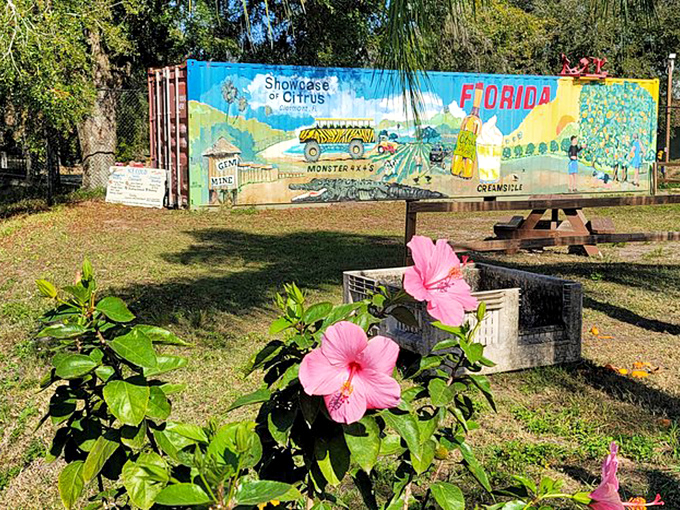 Roadside art celebrates Florida's citrus legacy with vibrant colors and nostalgic imagery. A painted time capsule from when oranges, not Mickey, were Florida's main attraction.