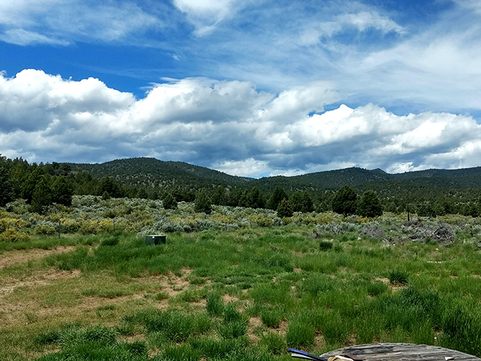 The high desert landscape surrounding Susanville creates a tapestry of sagebrush, pine, and open sky that changes dramatically with each season.