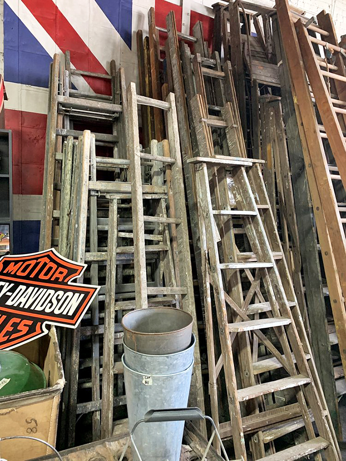 Ladder heaven! These aren't just tools—they're wooden time machines from farms and workshops past, leaning against history itself.