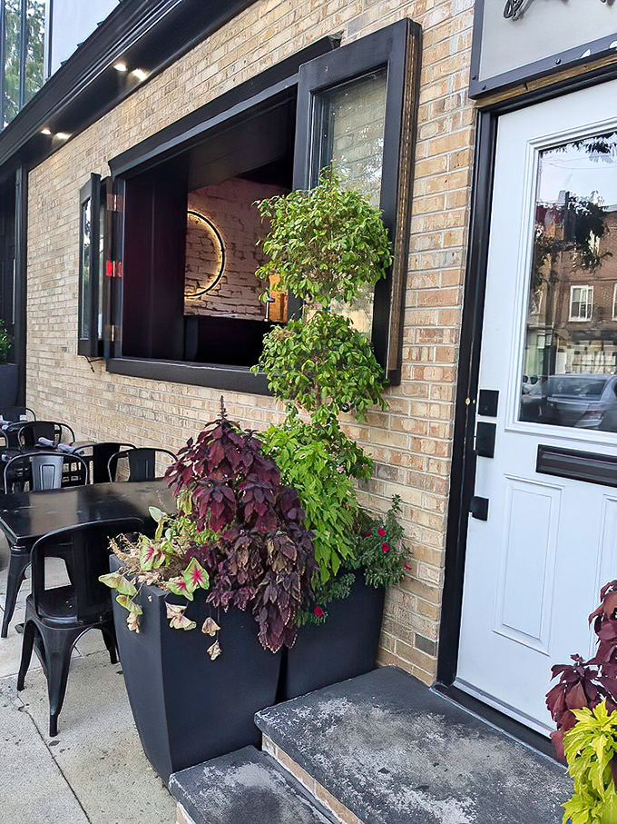 Al fresco seating where Philadelphia breezes complement your meal. Those plants aren't just decorative&mdash;they're witnesses to gastronomic happiness.