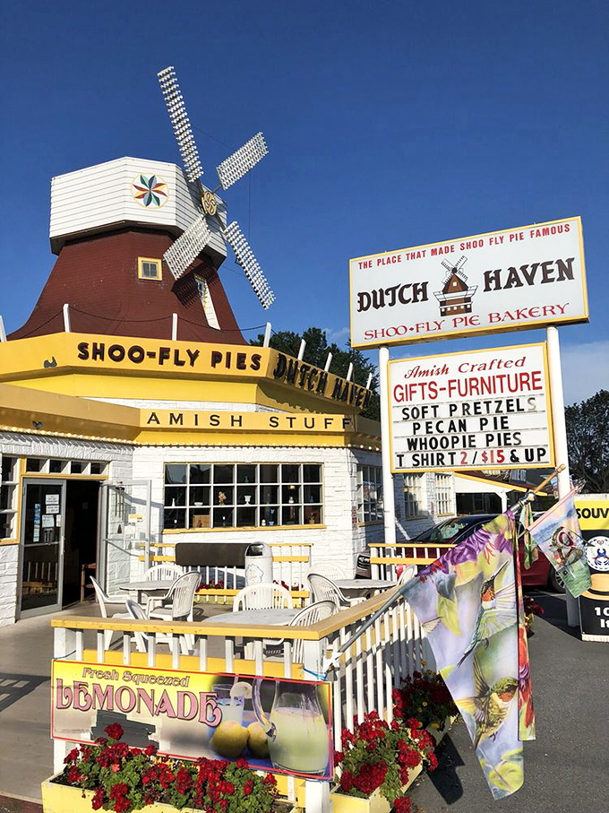 Summer at Dutch Haven means fresh lemonade on the patio, where the only thing sweeter than the drinks is watching Amish buggies roll by.