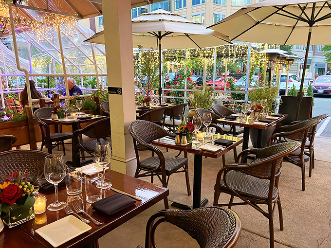 Outdoor dining with urban charm: where Arlington's energy meets culinary excellence under the gentle shelter of cream umbrellas.