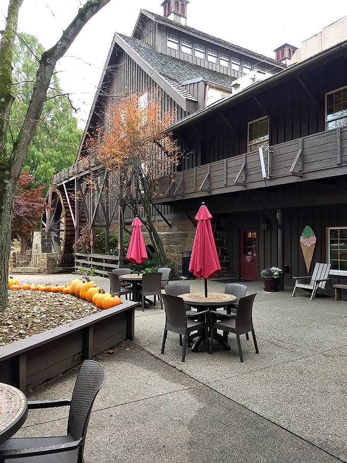Fall at Ye Olde Mill brings pumpkins, autumn leaves, and the perfect outdoor setting for one last ice cream before winter hibernation.