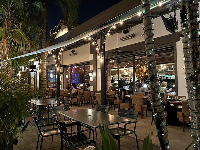 Dining al fresco among palm trees and string lights—because seafood always tastes better with a side of gentle Florida breeze.