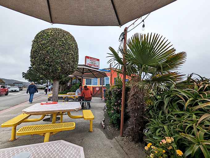 Outdoor seating that offers fresh air, coastal plants, and the anticipation of what might be the best seafood meal of your California road trip.