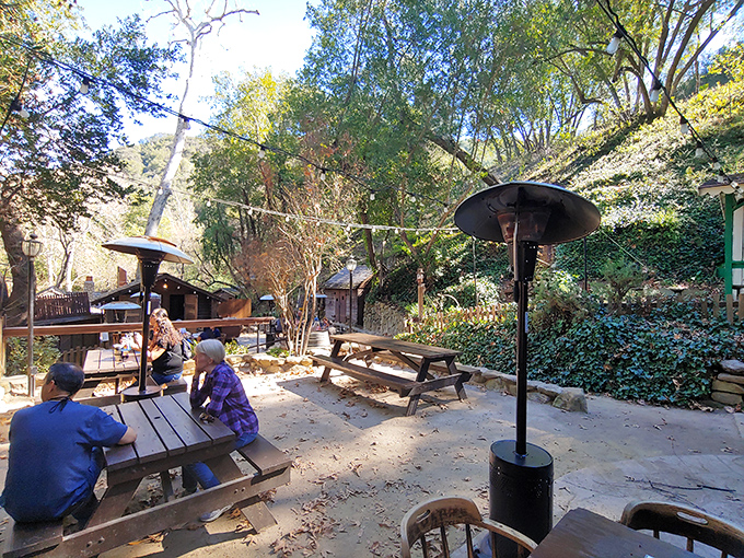 Outdoor seating surrounded by nature, where every meal comes with a side of mountain air therapy.