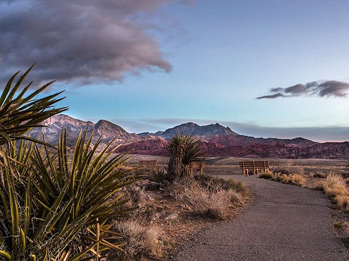 A thoughtfully placed bench invites contemplation. After hiking desert trails, this resting spot offers front-row seats to nature's most spectacular show.