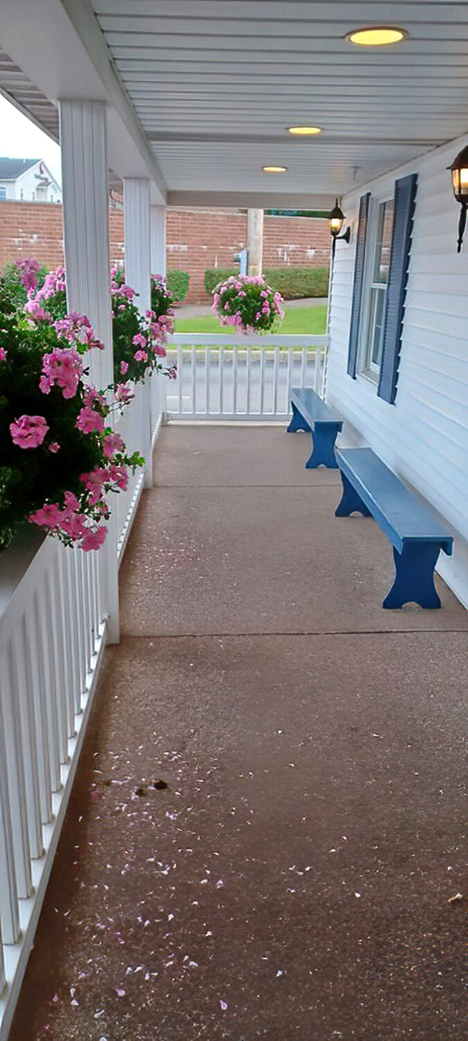 The front porch, with its blue benches and pink petunias, offers a moment of quiet contemplation before the feast that awaits inside.