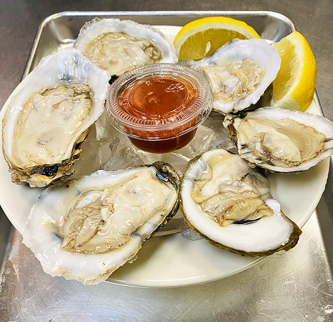 Fresh oysters on the half shell&mdash;nature's perfect appetizer. These briny beauties need nothing more than a squeeze of lemon and a moment of appreciation.