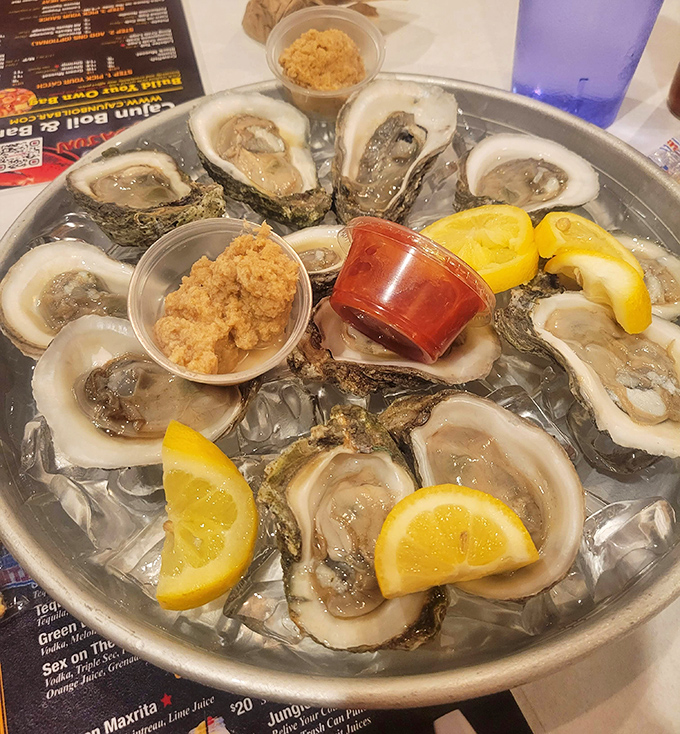 Fresh oysters arranged like a clock of deliciousness, with lemon wedges marking the hours. That horseradish and cocktail sauce? Those are non-negotiable companions on this briny journey. 