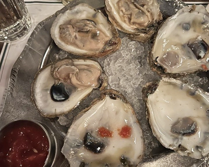 Fresh oysters on ice with cocktail sauce&mdash;nature's perfect appetizer for those who believe the best things in life come in small, briny packages.