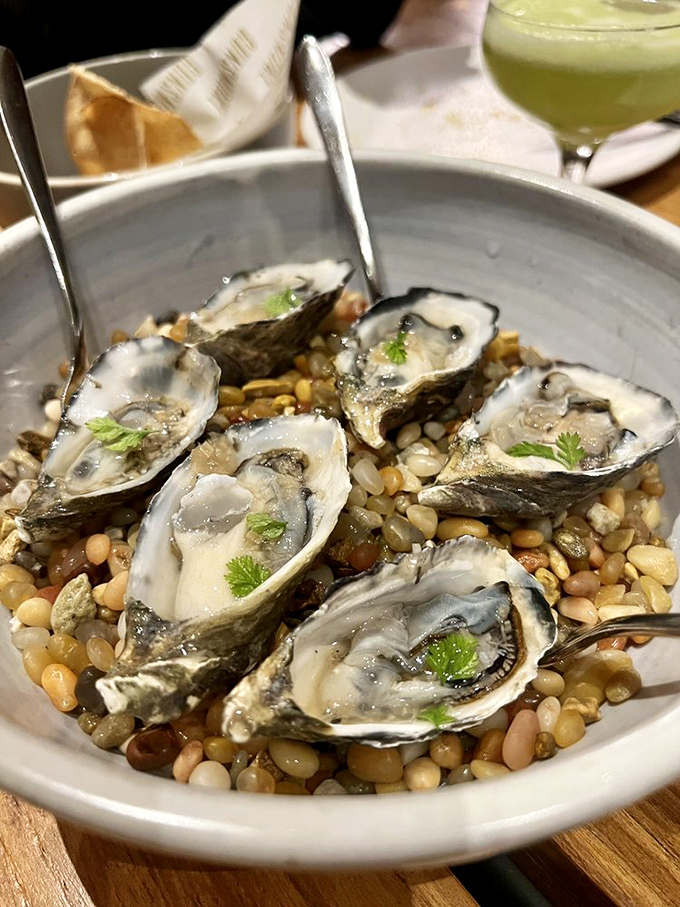 Fresh oysters nestled on a bed of multicolored legumes. These briny treasures of the sea arrive like jewels in a rustic setting.