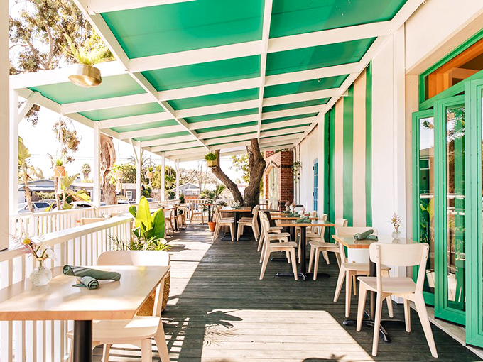 Outdoor dining under San Diego's reliable blue sky. That green ceiling creates the perfect canopy for morning philosophizing.