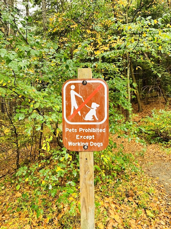 Even in nature's playground, rules apply &ndash; this sign gently reminds visitors that Fido might have to sit this adventure out.