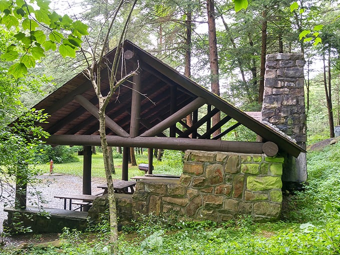 Stone and timber craftsmanship that's stood the test of time. This CCC-built pavilion has sheltered picnickers through decades of Pennsylvania seasons.