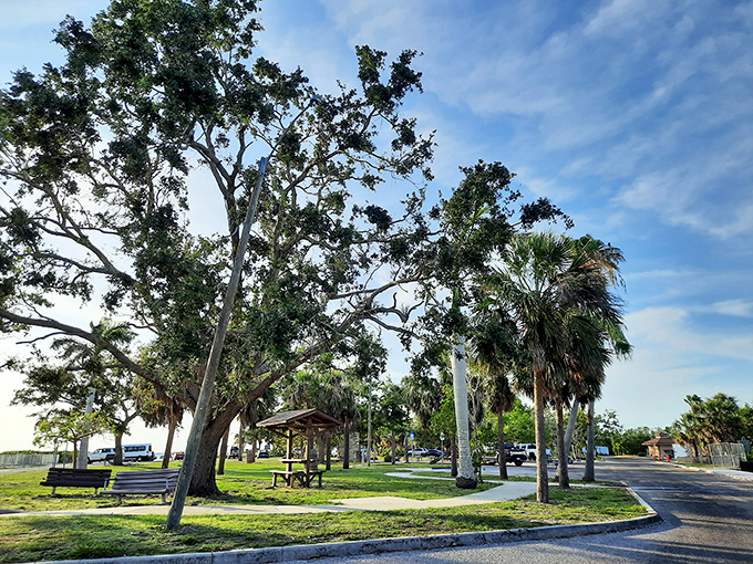 Park perfection under Florida skies. These shady spots offer respite from the sun while providing prime people-watching opportunities for the discerning bench-sitter.