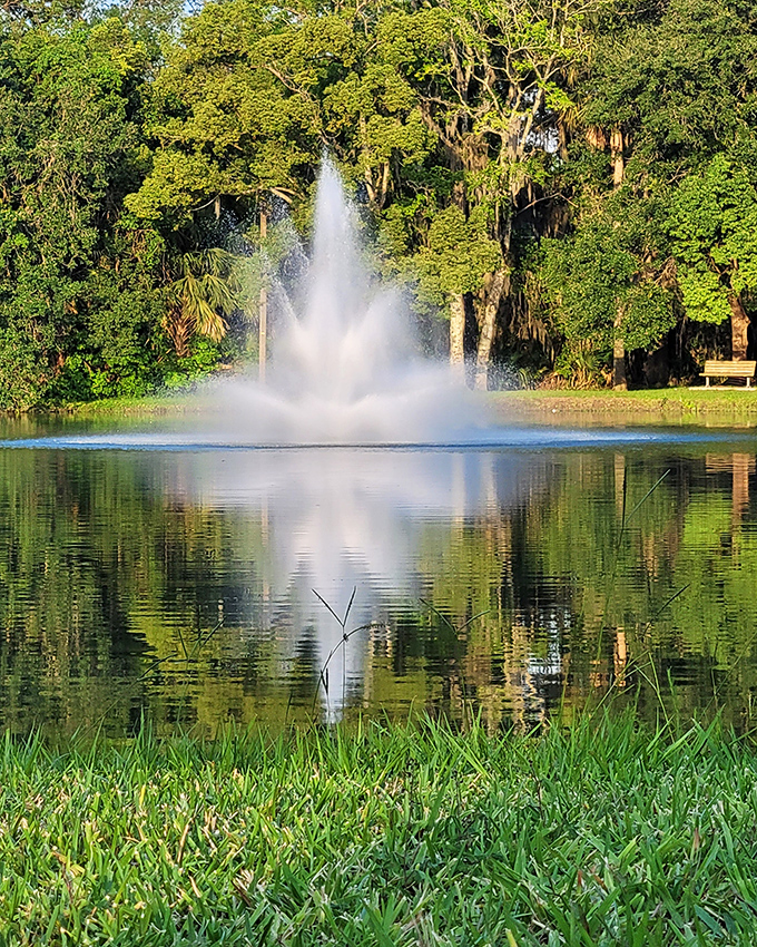 A fountain erupts from the center of a glassy lake, nature's own performance art against a backdrop of ancient trees.