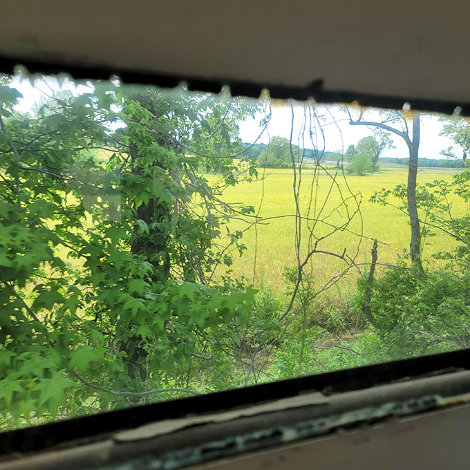 Nature's slideshow unfolds outside your window&mdash;no smartphone required. Missouri's countryside reveals itself one green frame at a time. 