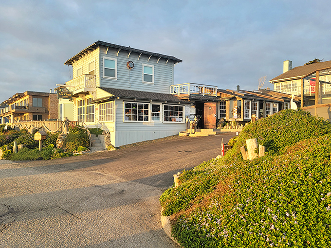 The Sea Chest Oyster Bar&mdash;where seafood is so fresh it practically introduces itself before landing on your plate.