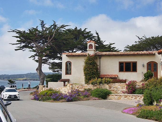 Mediterranean meets California cool in this seaside home where bougainvillea cascades down stone walls and ocean views come standard.